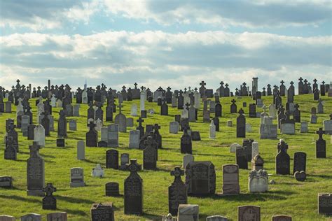 How To Hire A Mobile App Developer The Right Way