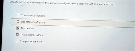 Identify The Intrinsic Muscles Of The Glenohumeral Joint More Than