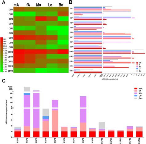 Tissue Expression Profiles Of Periplaneta Americana Chemosensory
