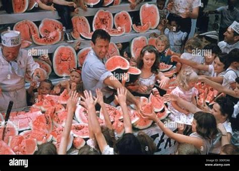 Picnic 1955 Columbia Pictures Film With William Holden As Hal Carter