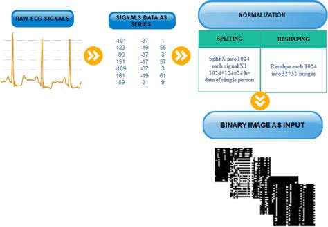 From Ecg Signals To Images A Transformation Based Approach For Deep Learning Peerj