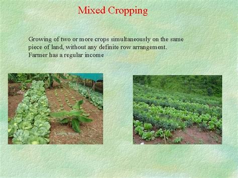 Cropping Systems Cropping Systems Pattern Of Crops Taken