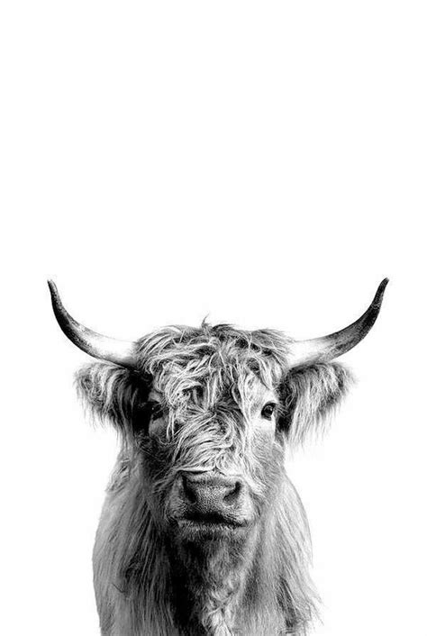 Fernando Labastida En Espíritu Santo Facebook