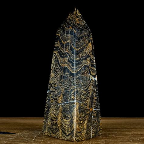 Very Rare Fossilized Algae Obelisk 553 85 G Catawiki