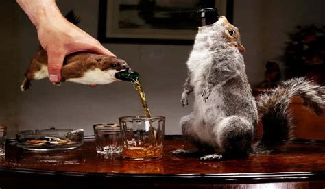 The Story Of The Worlds Strongest Beer And Why Its Inside A Squirrel