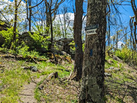 Hanging Rock Raptor Observatory A 360 Degree Scenic Adventure