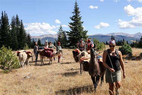 The Meditative Joys Of Llama Trekking With Blue Territory Supply