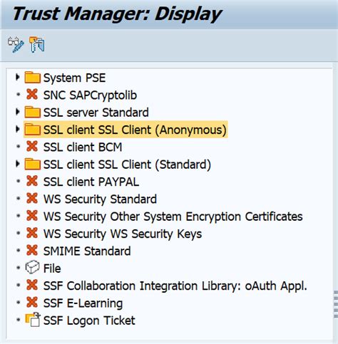 Steps To Install And Configure Sap Content Server 753 File System On