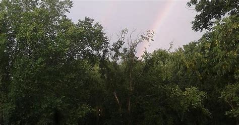 Double Rainbow Album On Imgur