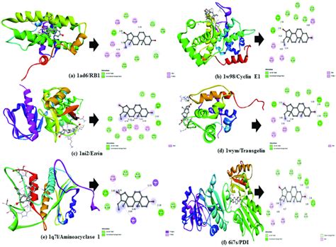 Three Dimensional 3d Docking Poses Left And Two Dimensional 2d
