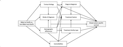 A Simplified Causal Diagram Depicting The Role Of Mediating Factors