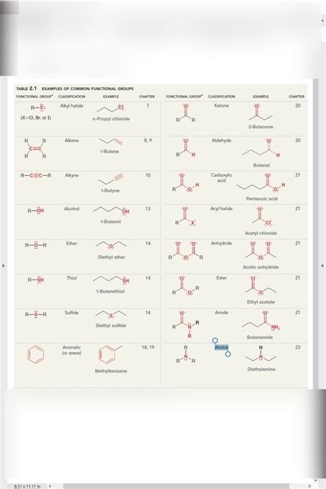 Functional Groups Diagram Quizlet