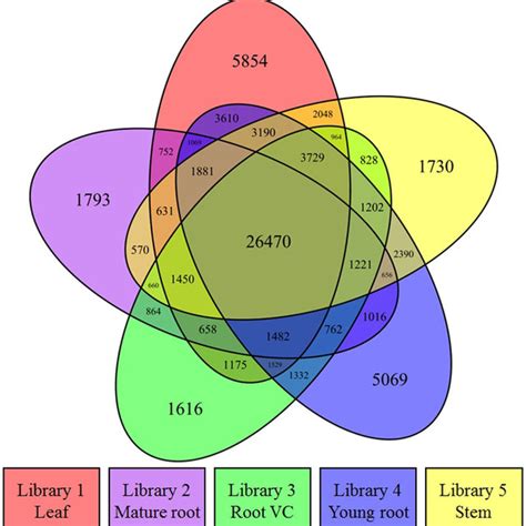 Transcriptomic Expression Analysis A Venn Diagram Shows The