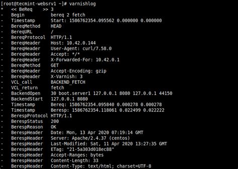 How To Install Varnish Cache For Nginx On CentOS RHEL