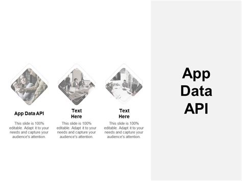 App Data Api Ppt Powerpoint Presentation Summary Styles Cpb Powerpoint Slides Diagrams