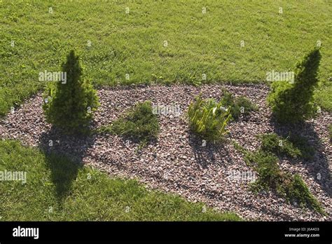 Environment Enviroment Tree Trees Park Garden Ground Soil Earth Humus Flora Stock Photo Alamy