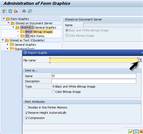 scripts sap texto y gráficos