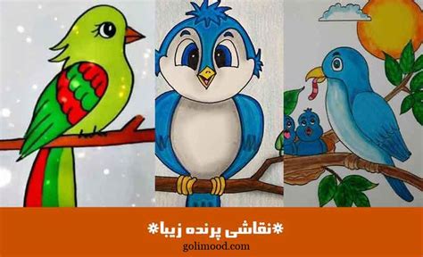 نقاشی پرنده زیبا ” 2025؛ همراه با راهنمای قدم به قدم ساده کودکانه
