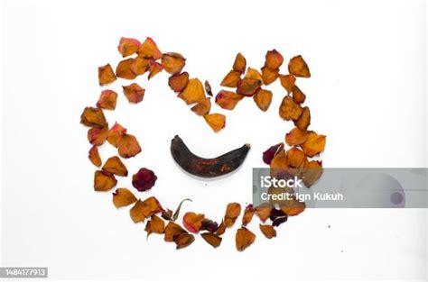 꽃잎 장미로 격리된 흰색 배경에 썩은 바나나 하트 모양 장미 꽃잎 흰색 배경 0명에 대한 스톡 사진 및 기타 이미지 0명 가을 긍정적인 감정 표현 Istock