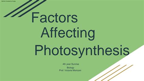 Solution Factors Affecting Photosynthesis Studypool