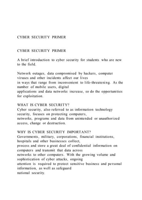 cyber security primercyber security primera brief in pdf