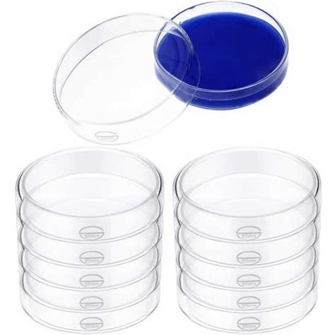Plate Plastic Disposable Petri Dish 100mm For Chemical Laboratory At