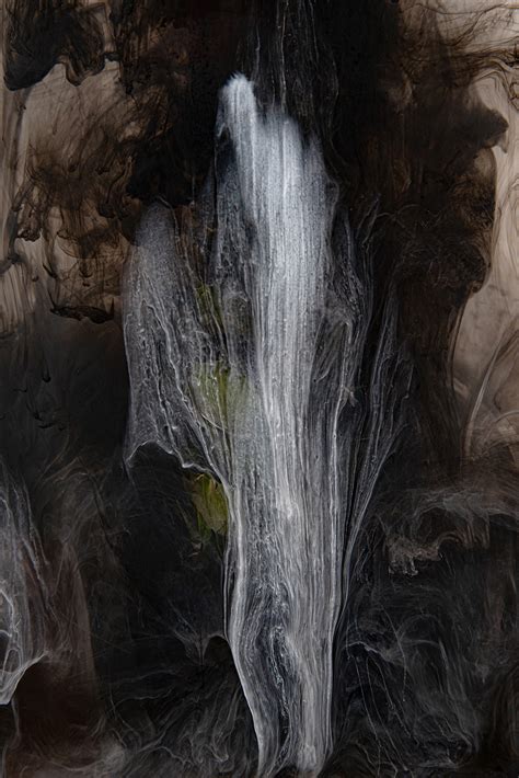 Driven To Abstraction By A Flower Behance