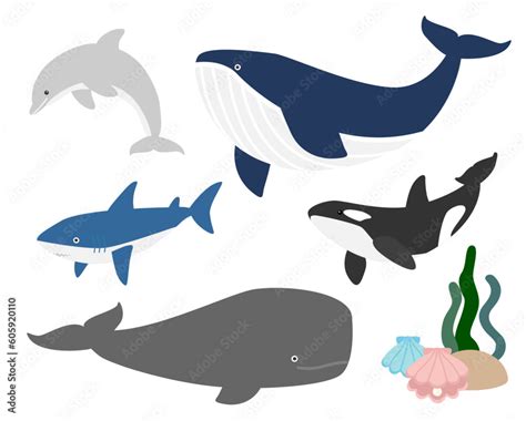 바닷속 해양 생물 일러스트 벡터 세트 Stock 벡터 Adobe Stock