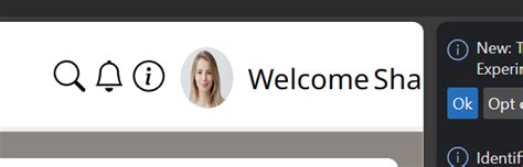 How To Trigger Or Invoke The Onresize Event In Delphi On Tms Web Core