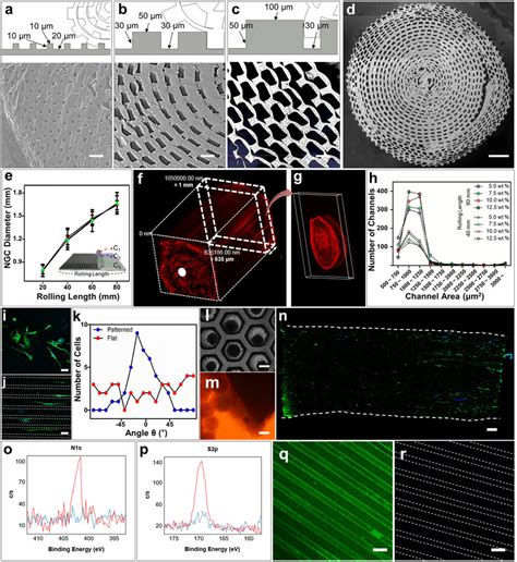 size tunability of the produced ngc and prototype selection a c