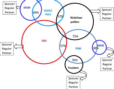 Potential Hiv Transmission Routes From High Risk Groups To The General