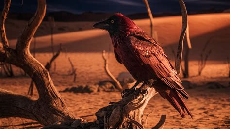 Exploring Performance Processors Vs Graphics Cards Evaluation