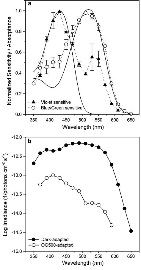 Visual Spectral Sensitivity In P Platensis A Spectral Sensitivity Download Scientific Diagram