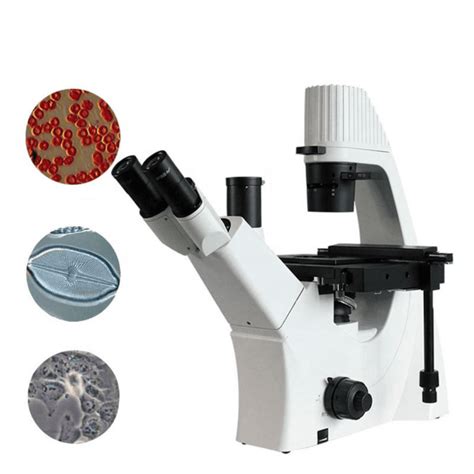 Trinocular Inverted Microscope With Phase Contrast Conduct Science