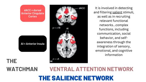 Default Mode Network Salience Network Central Executive Network Jane Leu Rekas Lcsw