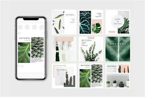 طرح پست اینستاگرام گیاهان آپارتمانی کد محصول 145479