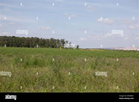 Landscape At Open Pit Hambach Lignite Mine In A Summer Landscape Showing Massive Rwe Machinery