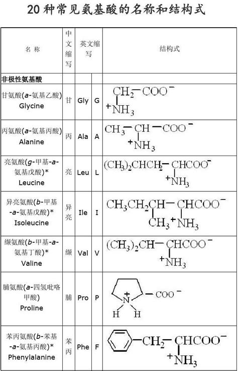 种常见氨基酸的名称和结构式 Word文档在线阅读与下载 无忧文档