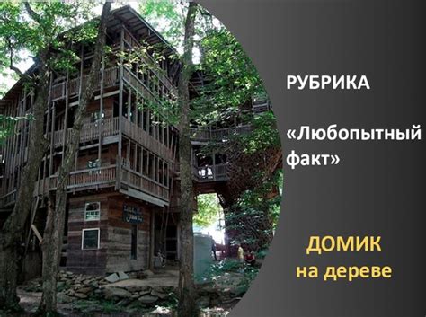А вы мечтали о доме на ДЕРЕВЕ Все в детстве строили дома на дереве или шалаши В подручные