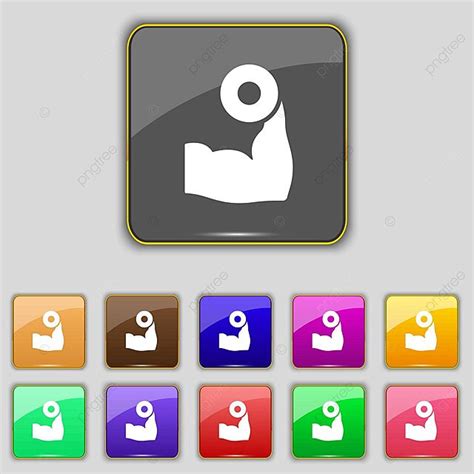 Dumbbell Arm Muscle Icon Set With 11 Buttons Vector Icon Thin Dumbbell Png And Vector With