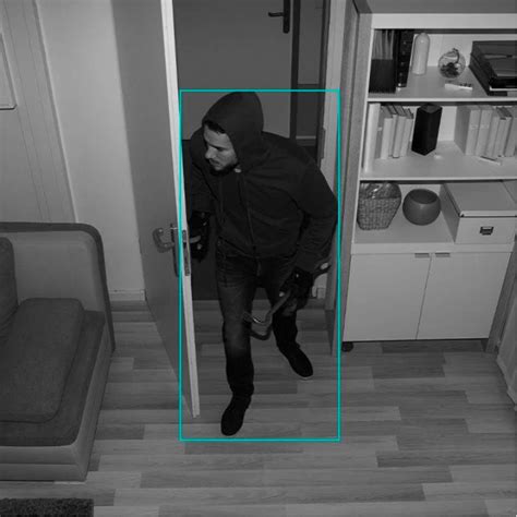 netvue indoor detection and event recognition home security netvue