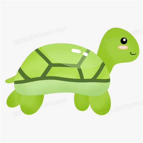 手绘乌龟卡通插画PNG图片素材下载 卡通PNG 熊猫办公