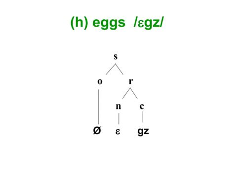 Syllable Structure Power Point Presentation PPT
