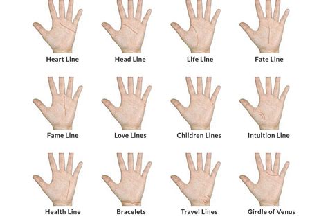 Palmistry Basics Exploring Lines On Your Palm