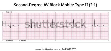 54 Imágenes Fotos De Stock Objetos En 3d Y Vectores Sobre Av Block Pattern Shutterstock