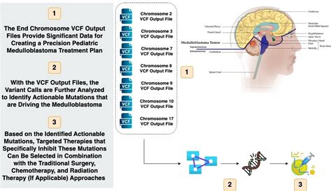 Genomics Secondary Analysis For Precision Medical Approaches — So Cal