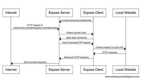 Introducing Expose An Easy To Use Tunneling Service Implemented In
