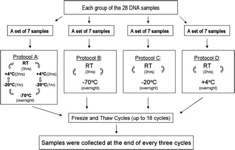 Characterization Of Effect Of Repeated Freeze And Thaw Cycles On