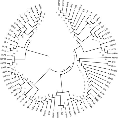 Dendrogram Of The Crispr Sequences Among The 78 Campylobacter Jejuni