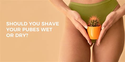 Should You Shave Your Pubes Wet Or Dry Zomchi